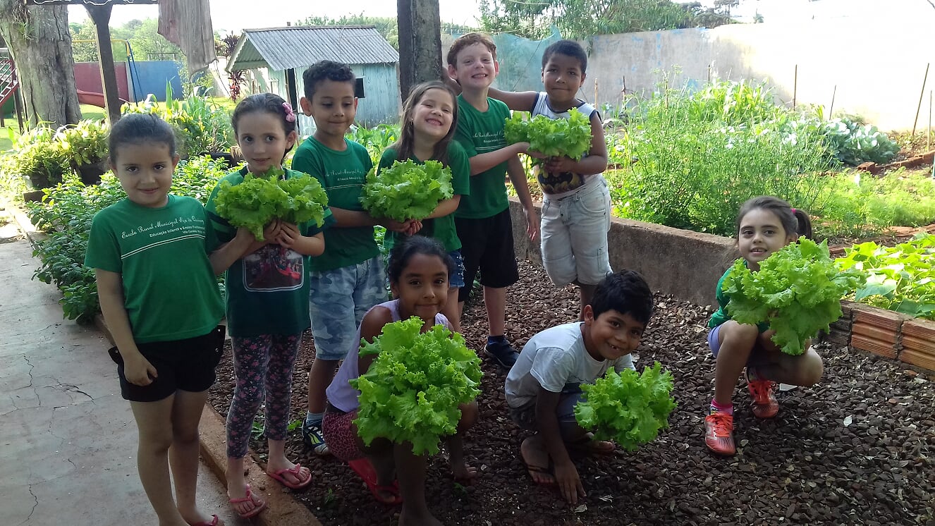 Programa União Faz a Vida